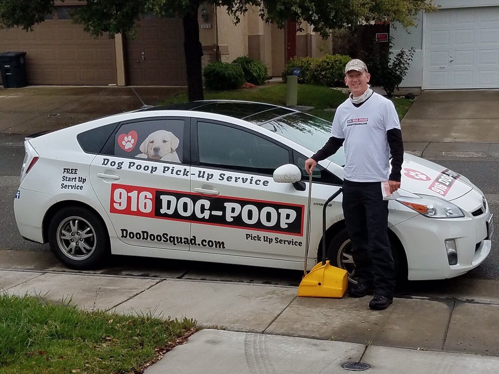California Dog Poop Pick-Up Services | Doo Doo Squad